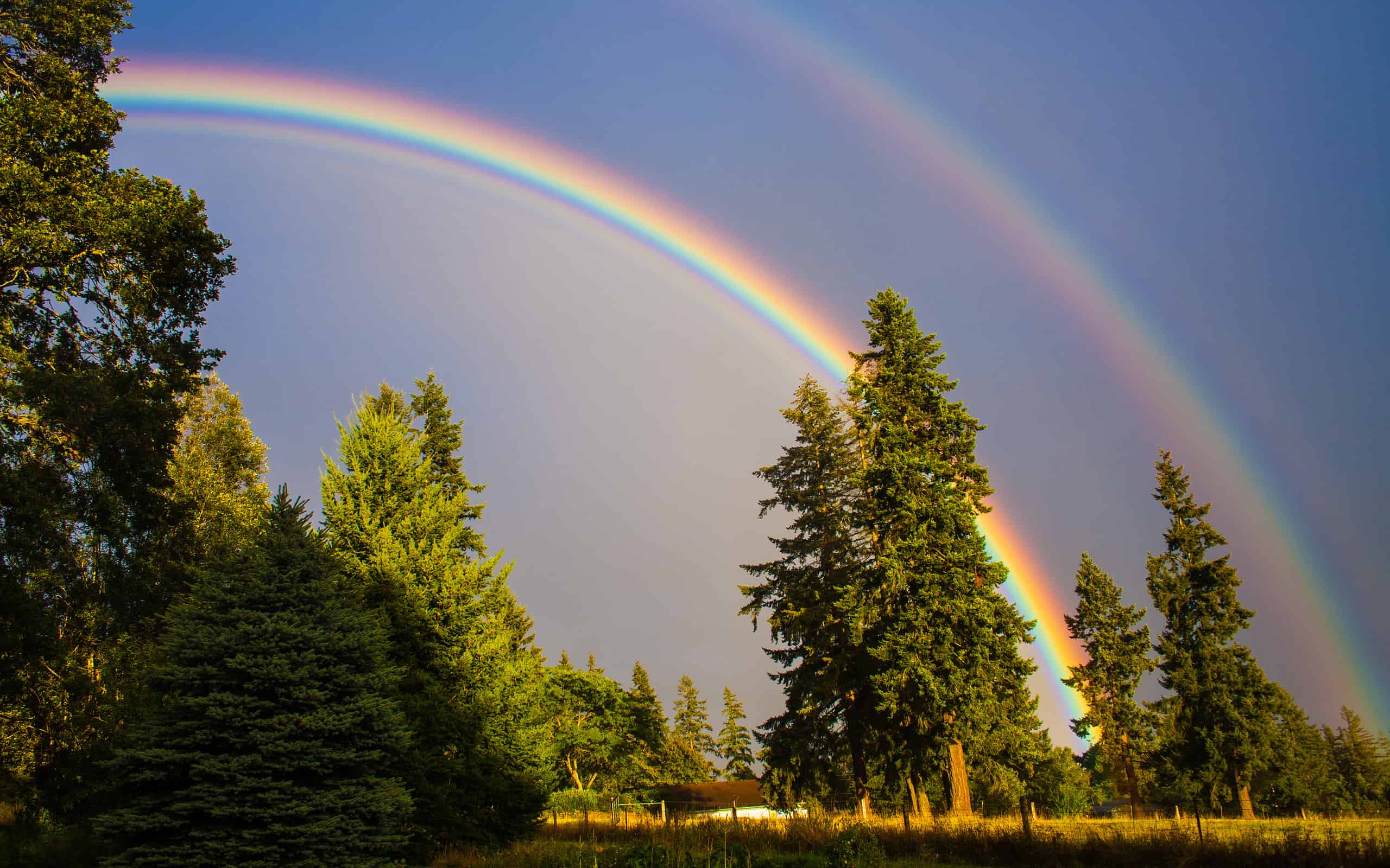 Discover the Surprising Link Between the Biblical Rainbow and Your ...